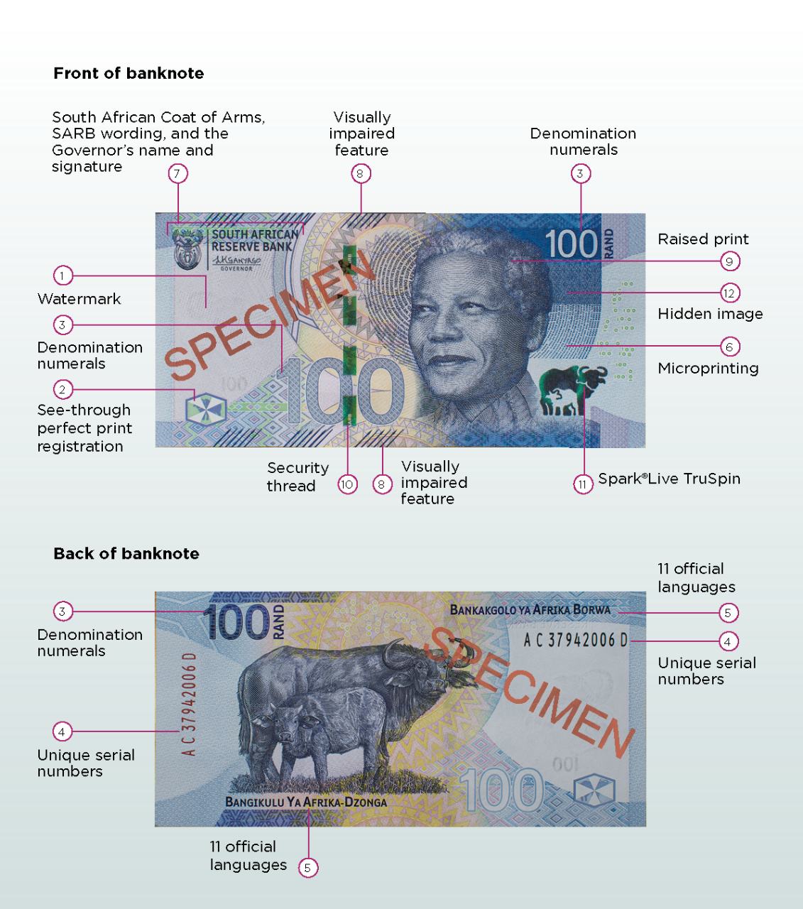 Banknotes Banknotes
